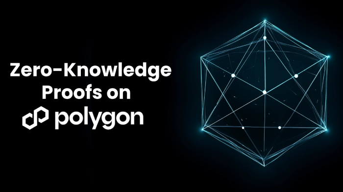 Zero-Knowledge Proofs on Polygon Explained Simply